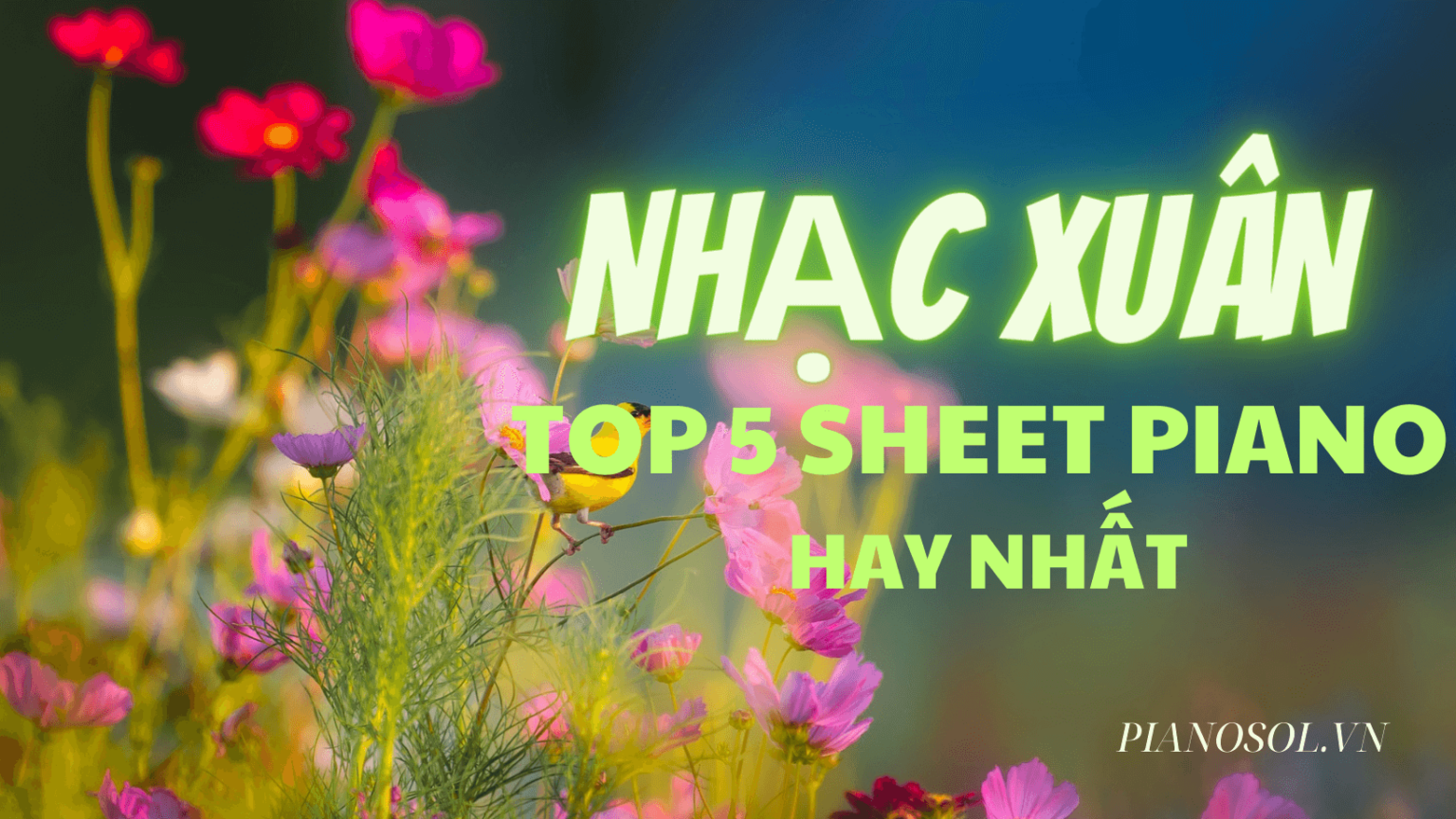 Top 5 Sheet Piano Nhạc Xuân Hay Nhất | Free Download